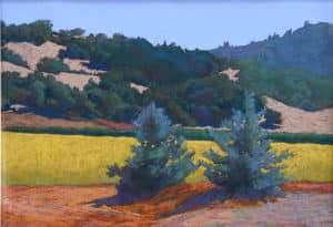 Mary Silverwood Fine Art Pastel Artist | Calabi Gallery